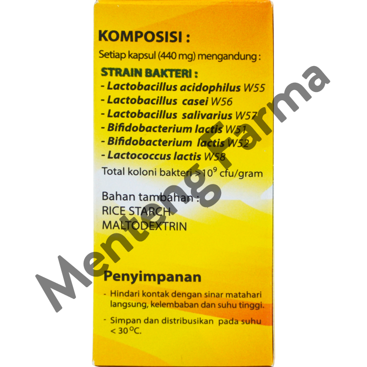 L-Bio 15 Kapsul - Suplemen Probiotik untuk Kesehatan Saluran Cerna – Apotek