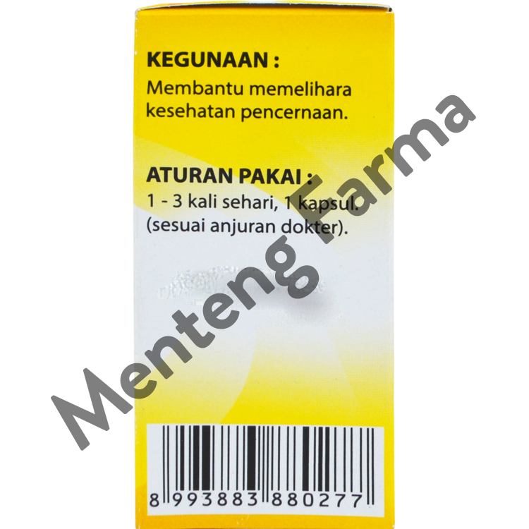 L-Bio 15 Kapsul - Suplemen Probiotik untuk Kesehatan Saluran Cerna – Apotek
